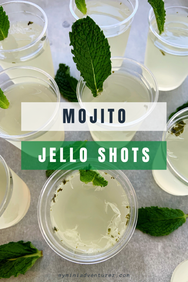 Mojito Jello Shots My Mini Adventurer (1) - My Mini Adventurer