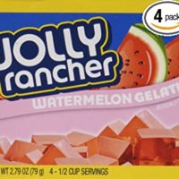Watermelon Jello Shots - My Mini Adventurer